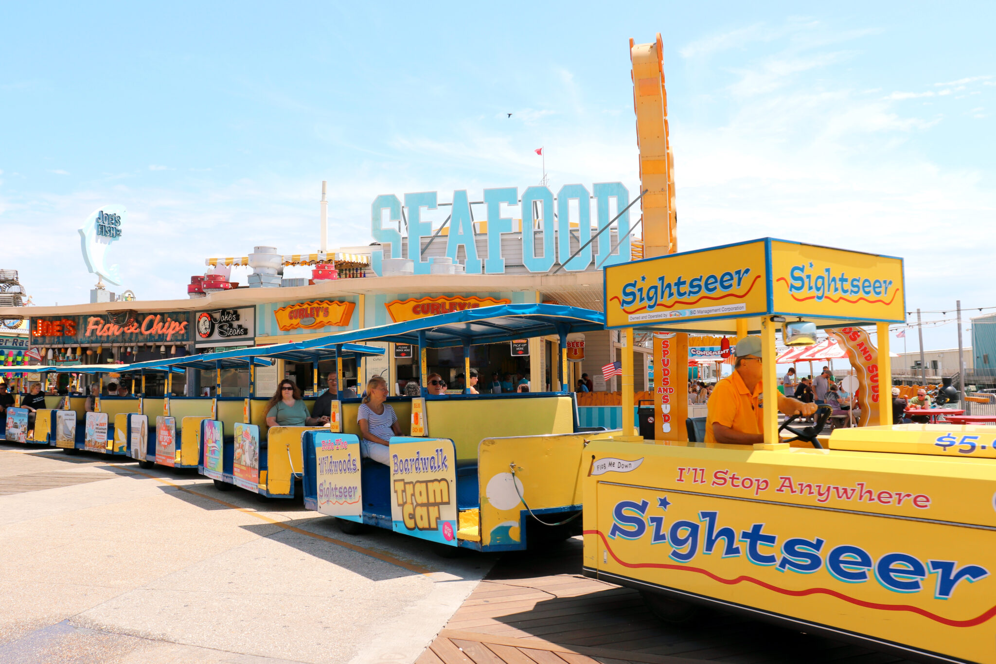 Exploring the Wildwoods